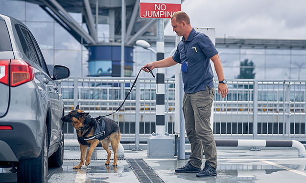 Scent Detection Dog Trainer Certification Course in Indiana | Dog ...