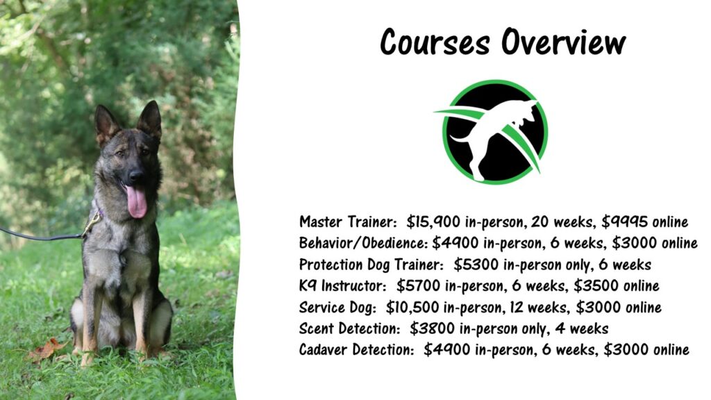 Professional Dog Trainer Certification Courses in Indiana | Dog Trainer ...